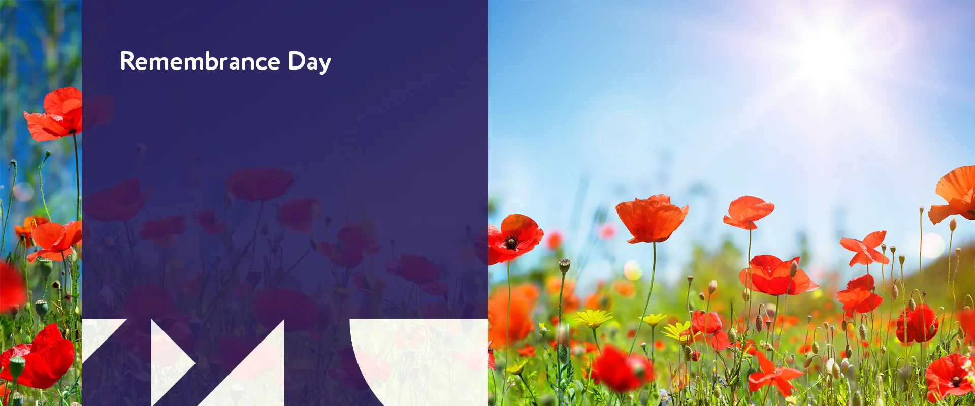 What is Remembrance Day and why do we celebrate it?